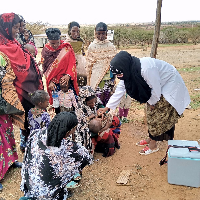 Godina Gujii aanaalee lama keessatti daa’imman kuma 25tti hiiqaniif ...