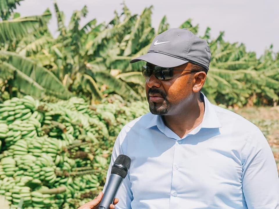 Doktar Abiy Ahimad Sulala laga Bilaattee keessatti bishaan lafa jalaa ...