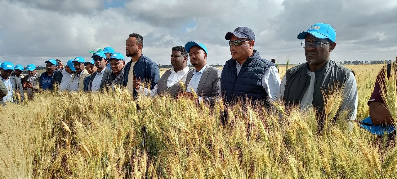 Ministirri Qonnaa fi hoggantoonni mootummaa biroon hojiilee misooma ...