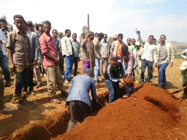 Wallagga Lixaatti lafa heektaara kuma 4 ol irratti hojiin misooma ...