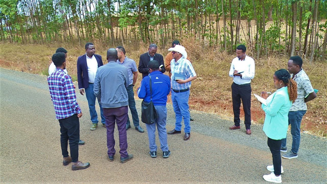 Pirojektoota daandii Beeniishaangul Gumuzitti hinxumuramiin hafan ...