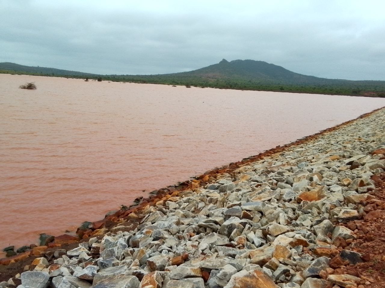 Bishaan misooma jallisiif oolu waan arganneef loon horsiisuu cinaatti ...