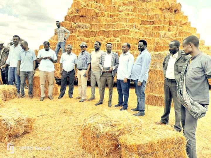 Nyaanni loonii ongee damdamachuu dandeessisu meetiriik toonii kuma 204 ...