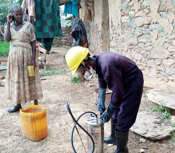 Naannoo Tigraayitti weerara Busaa ittisuuf yaalii qindaa’aan taasifamaa ...