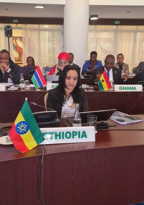 Itoophiyaan yaa'ii dhimmoota faayinaansii, karoora diinagdee fi ...