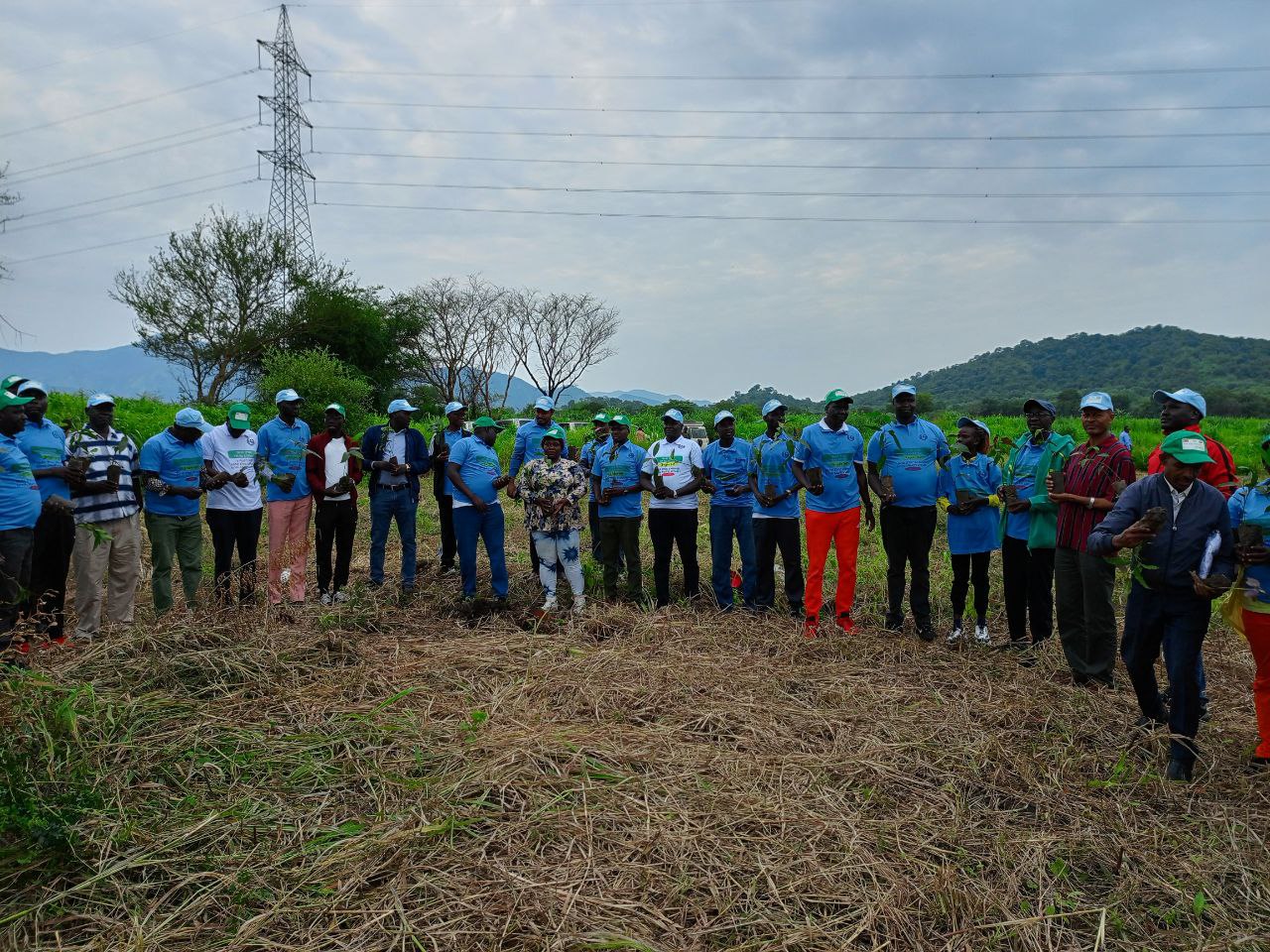 Sagantaan guyyaa tokkotti biqiltuu miiliyoona 500 dhaabuu naannoo ...