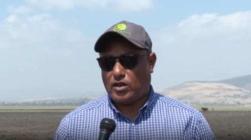 Naannoon Oromiyaatti Xaa’oon kuntaalli kuma 400 ol bara oomishaa 2016/7 ...