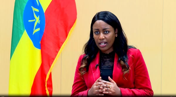 Tajaajilli Immigireeshinii fi lammummaa humna namaa gahoome horachuuf ...