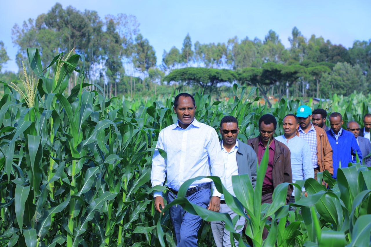 Naannoo Sidaamaatti lafti heektaara 105 ol qonna arfaasaatiin misoomaa ...