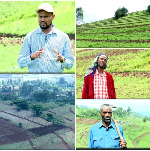 Hojiin Eegumsa Biyyoo fi Bishaanii Naannoo Oromiyaatti Hojjetame Lafti ...