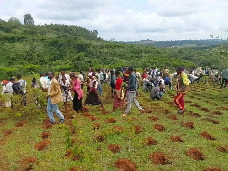Godinoota Wallagga Lixaa fi Qeellam Wallaggaatti guyyaa tokkotti ...