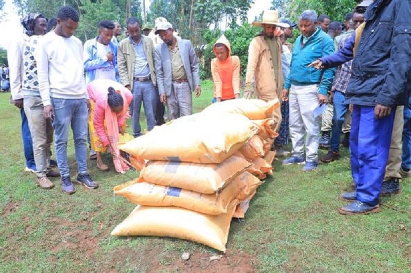 Godina Shawaa lixaatti Xaa’oo fi sanyiin filatamaa qonna gannaaf oolu ...