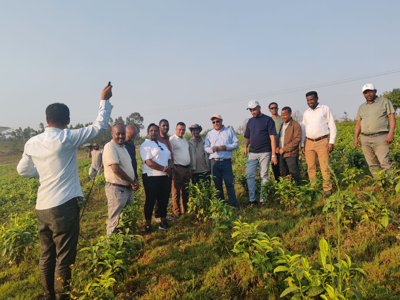 Naannoo Oromiyaa Godinoota sadii keessatti lafa heektaara kuma 150 ...