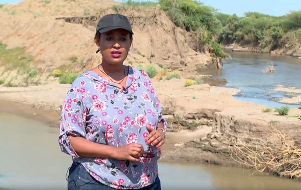 Sulula Awaashirratti lolaa egereef ittisuuf hojiin eegumsa naannoo ...