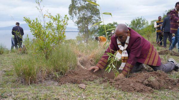 Hooggantoonnii fi hojjettoonni misooma bosonaa Itiyoophiyaa sagantaa ...