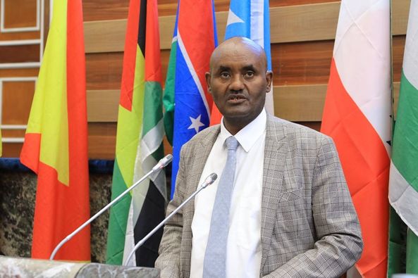 Adeemsa badaa lammileetti dhaamaatii cimaa uumaa jiraniif furmaanni ...