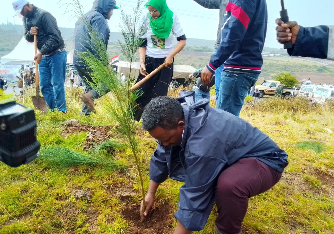 Biqiltuun guyyaa har'aa dhaabatu dhaloota dhufuuf galaa waan ta'eef ...