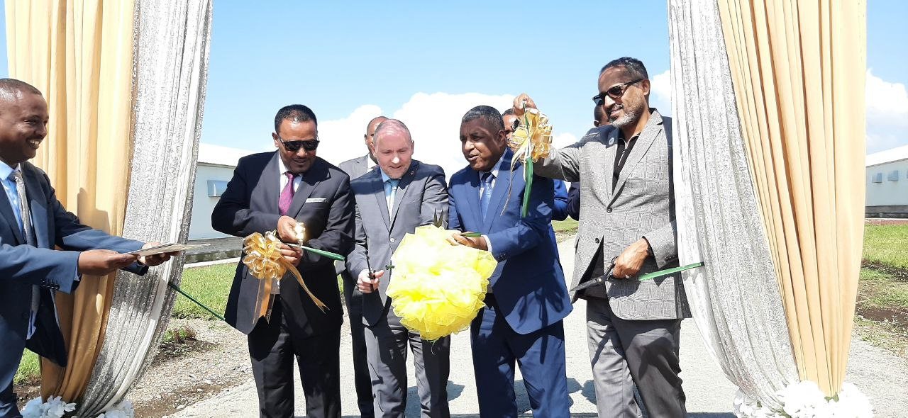 Elfooraa Agroo Indastiriin jiddugala lukkuu Goromtii baay'isu ...