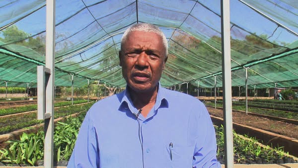 Dirree Dawaatti duula ashaaraa magariisaa dhufuuf biqiltuuwwan ...