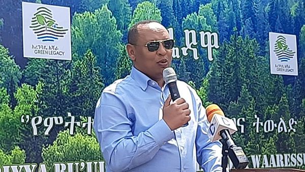 Biqiltuu dhaabuun alatti kunuunsuudaan dammaqinaan hirmaachuun naannawa ...