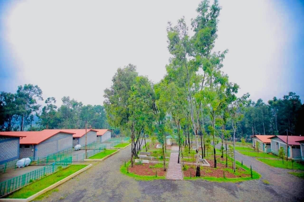 Baasii birrii biiliyoona 1.2 oliin sheediiwwan 158 ijaaruun harka ...