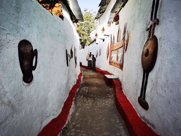 Daandiiwwann keessoo hambaa addunyaa Jagol eebbifaman - ENA Afaan ...