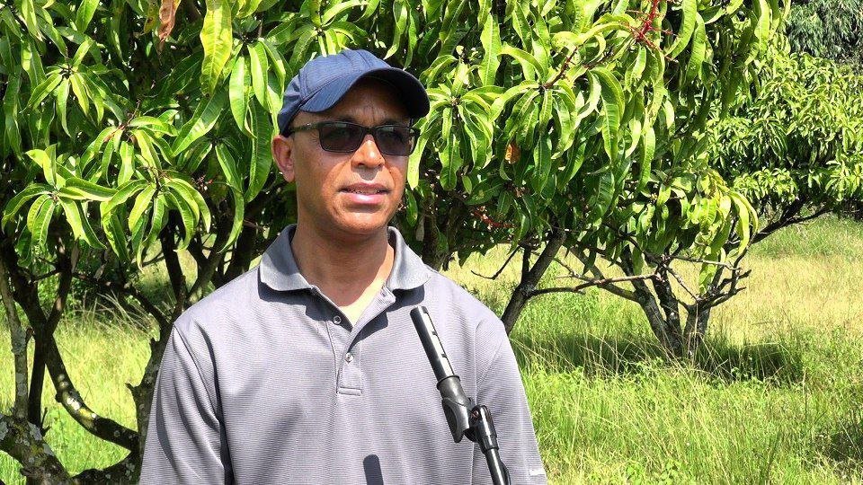 Dhukkuba maangoo ilbiisootaan dhufu ittisuuf hojiiwwan qorannoo lubbu ...