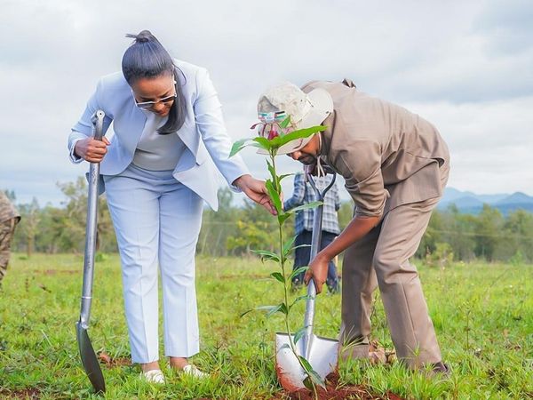 Fuuldurattis naannawoota akka Sulula Abbayyaarratti Biqiltuu dhaabuun ...