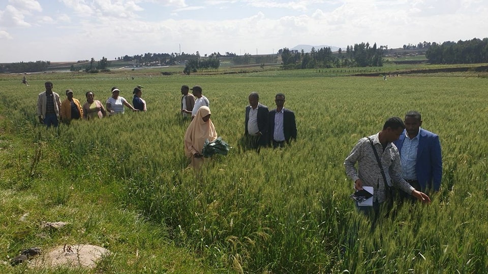 Magaalaa Finfinneetti hojiin qonna magaalaarratti hojjetame ...