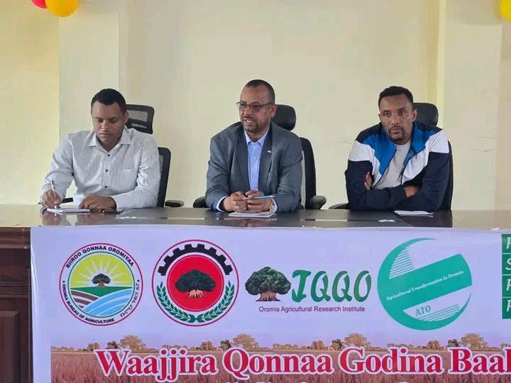 Godinichatti Manni maree tiraansfoormeeshinii qonnaa adeemsi ce'umsa ...