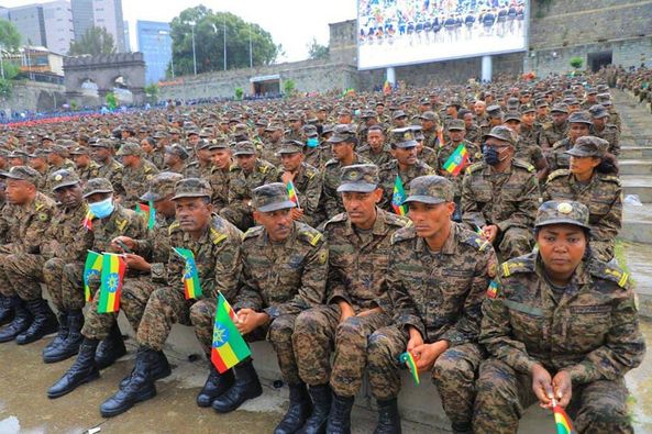 Raayyaa ittisaa qabatamaan qorame biyya boonsuu fi Afriikaan itti ...