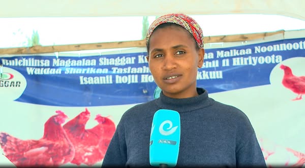 Magaalaa Shaggaritti bakkeewwan gabaaf qophaa’anitti gatii madaalawaan ...