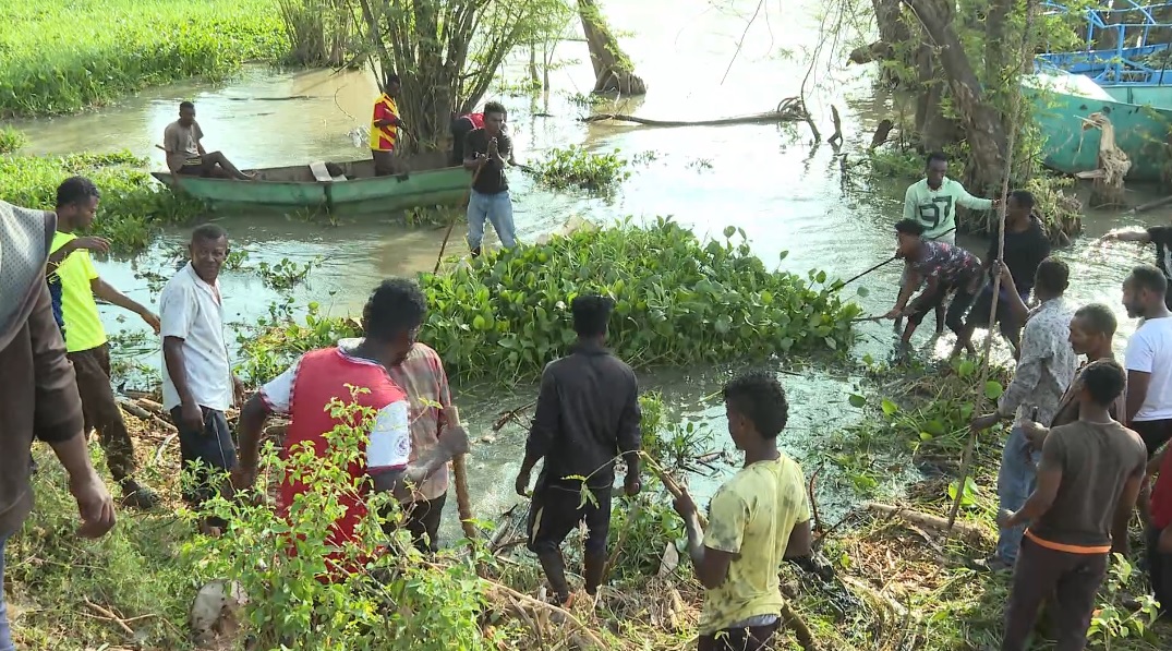 Hirmaannaa hawaasaan Haroowwaan Sulula Qinxamaa keessaatti argaman ...
