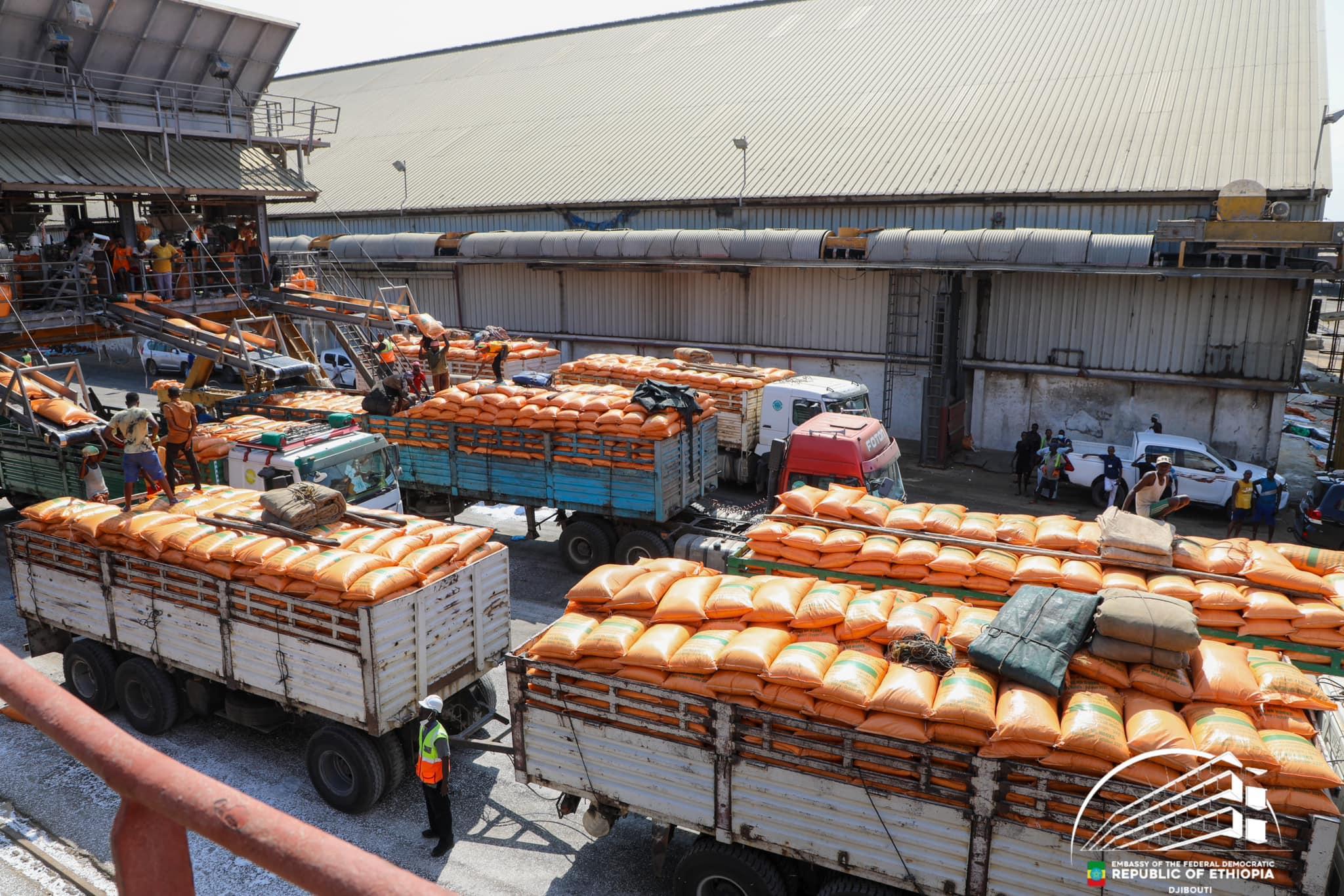 Dooniin Xaa’oo biyyoo oomisha bara 2017/18'f oolu feete buufata doonii ...