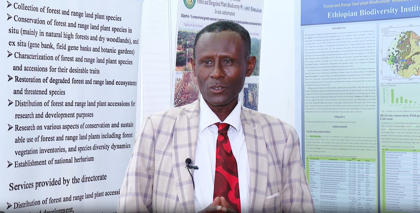 Hojin Sagantaa Ashaaraa magariisaa biqiltoota sanyiin isaanii badaa jiruu fi balaaf saaxilaman ...