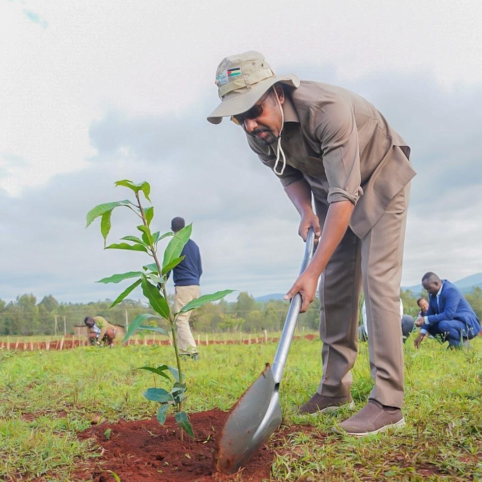 Rakkoo har'aa osoo hin taane dabarree firii boruu ilaaluun gaarummaa ...