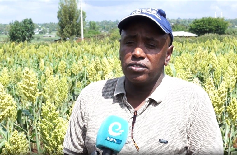 Yuunivarsiitiin Haramayaa gosoota midhaan adda addaa dhiibbaa ...