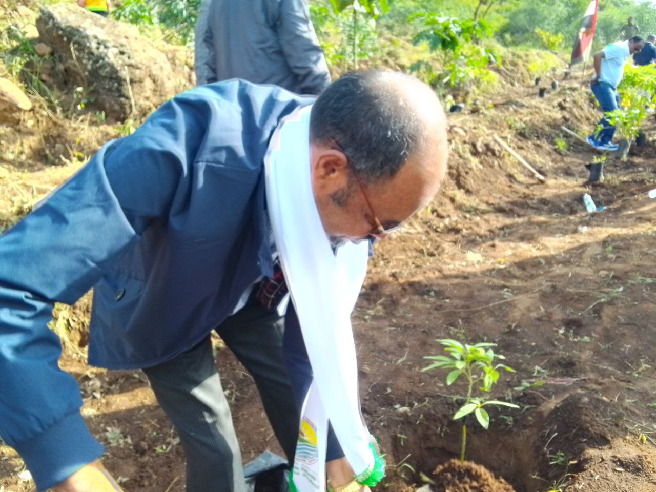 Oromiyaatti biqiltuu waggoota arfan darban dhaabaman keessaa harki 80 ...