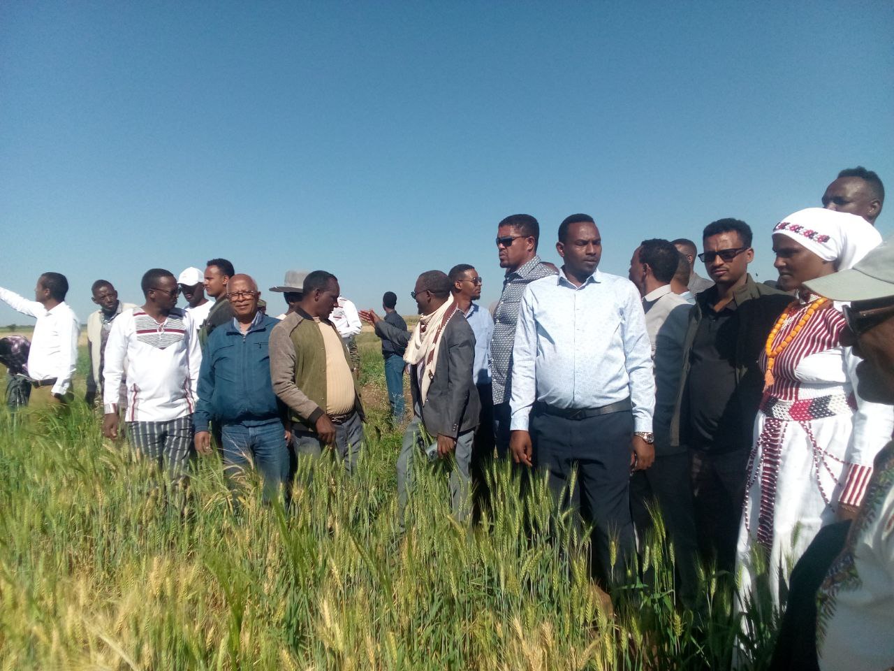 Tattaafiin humna misoomuu godinni Baalee bahaa qabu duduuganii ...