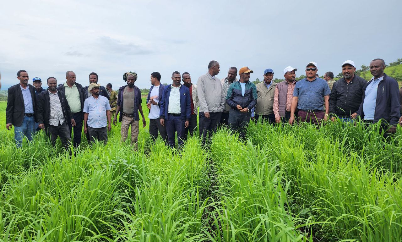 Godina Iluu Abbaa Booritti lafa heekataara kuma 127 midhaan misoomerraa ...
