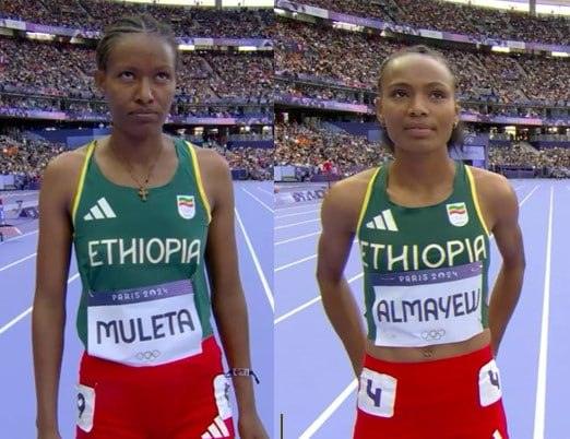 Fiigicha gufachiisaa meetiraa 3000'n atileet Loomii Muli'ataa fi ...