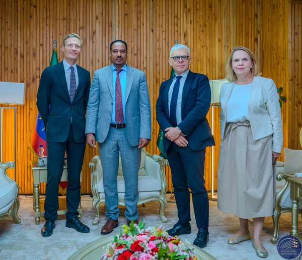 Le ministre d’état des affaires étrangères, Misganu Arga, a eu des ...