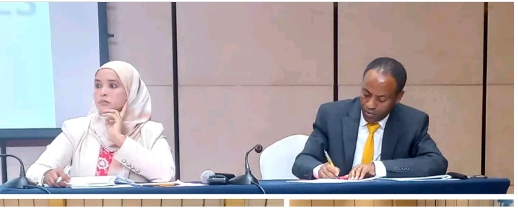 Le ministère du revenu prévient de collecter 529 milliards de birr au ...