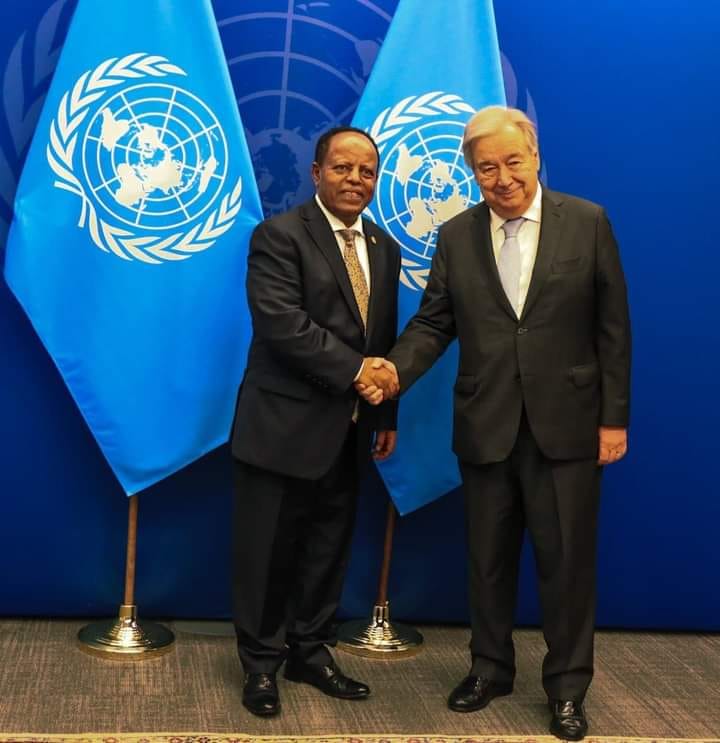 Le ministre des affaires étrangères Taye Atske-Selassie et le chef de l ...