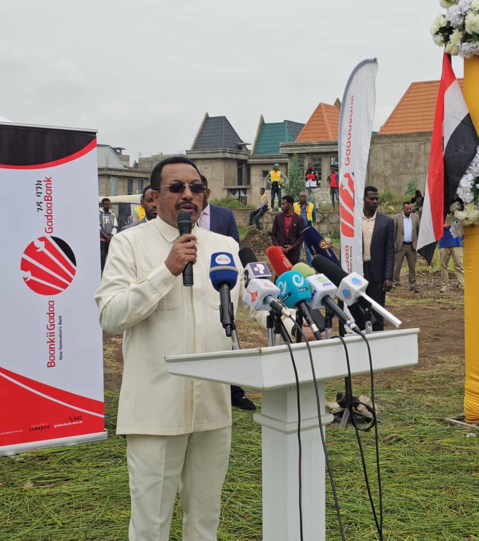 የክልሉ ዲያስፖራ የልማት ክፍተቶችን ለመሙላት የጀመረውን ጥረት ማጠናከር አለበት - ወይዘሮ ሰዓዳ አብዱራህማን ...