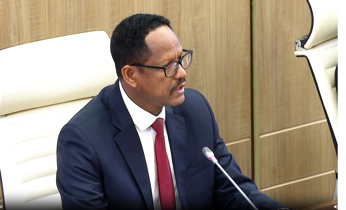 ሚኒስቴሩ የዲጂታል 2025 ስትራቴጂ ውጤታማነትን ለማጠናከር በትኩረት መስራት እንዳለበት የህዝብ ተወካዮቸ ምክር ...