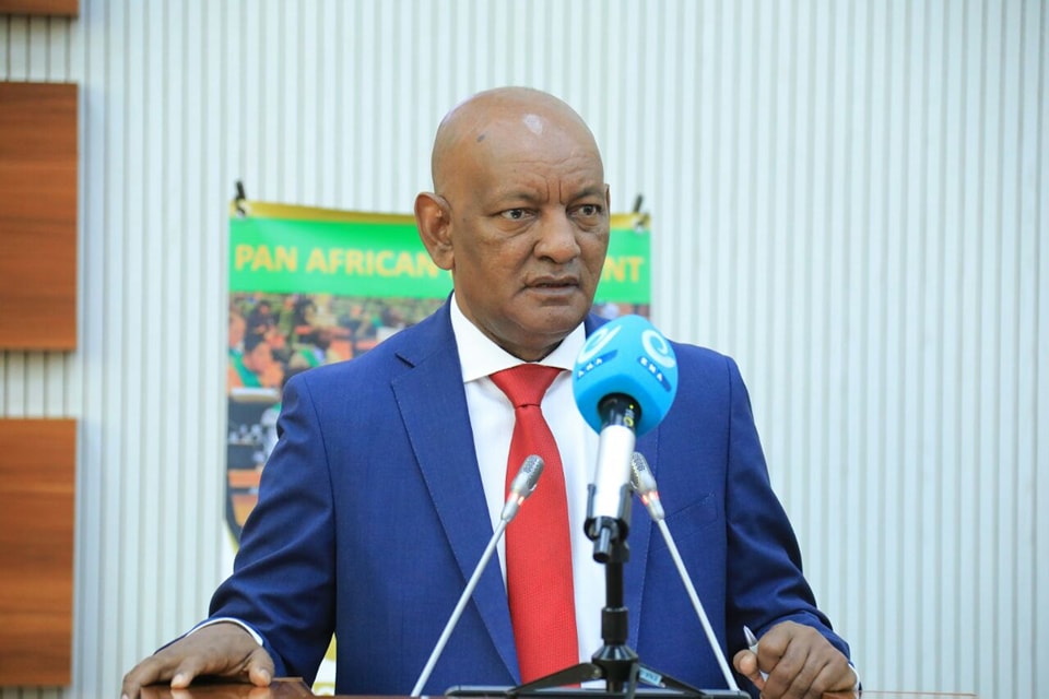 Nurturing Culture of Democracy in Africa Key to Sustainable Peace, Dev ...