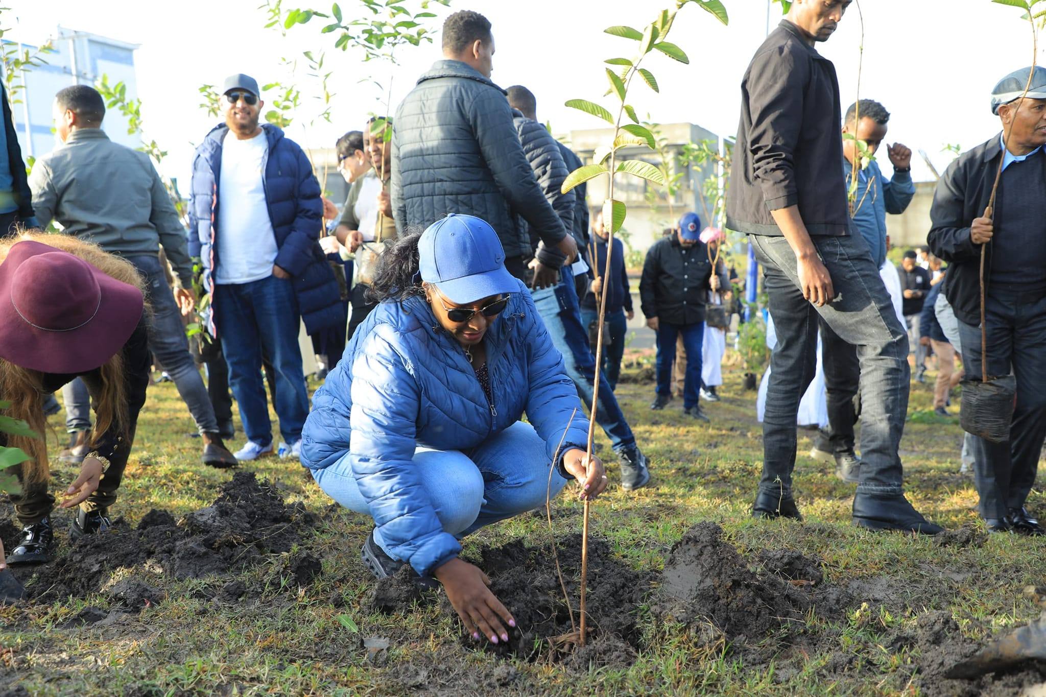 Ethiopia's Green Legacy Initiative Great Legacy Not Only for Today But ...