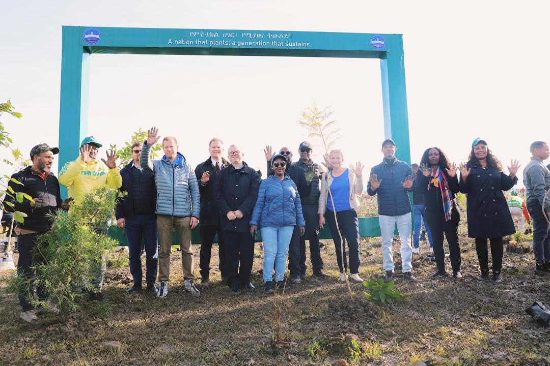 Ethiopia's Green Legacy Initiative Great Legacy Not Only for Today But ...