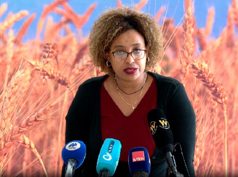 Media in Ethiopia Urged to Work Hard on Big National Agendas, Help Tap ...